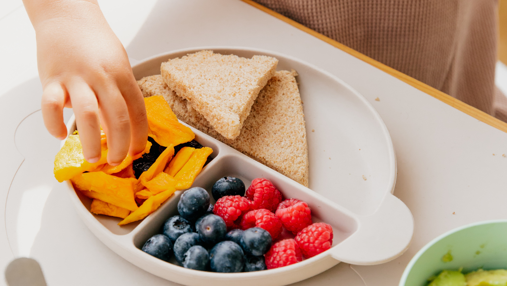 Unpacking Fat and Cholesterol in Infancy and Toddlerhood