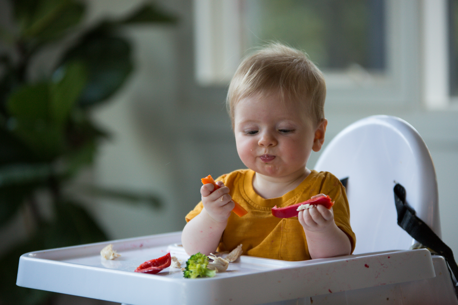 Organic vs. Conventional Food - The Baby Dietitian