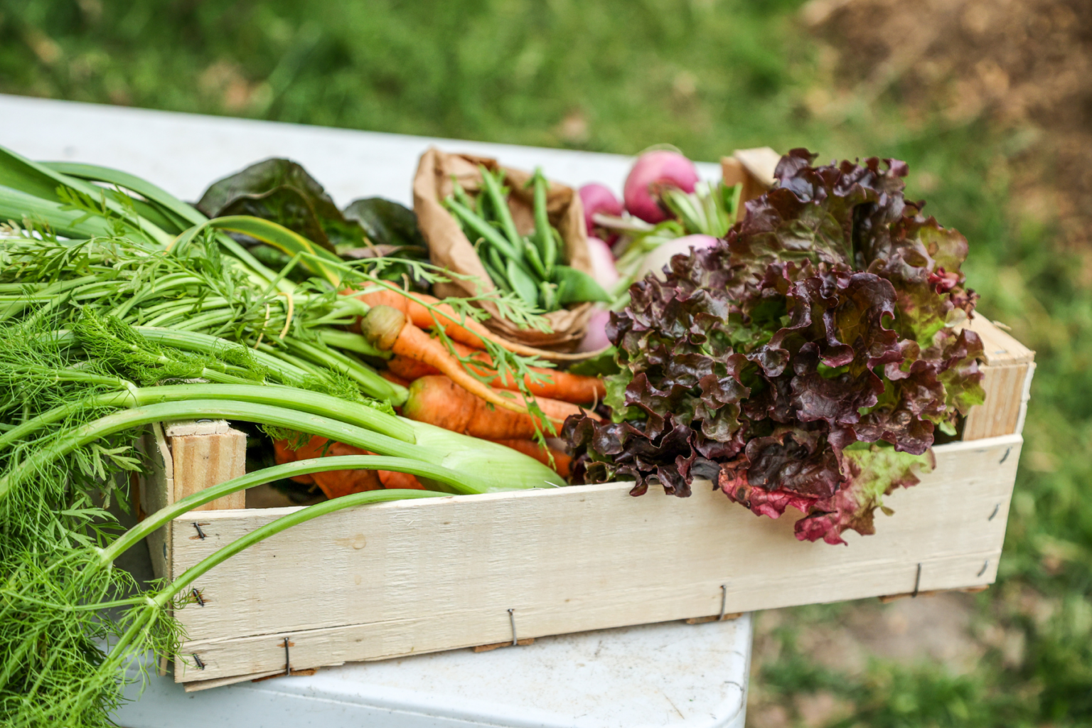 Organic vs. Conventional Food - The Baby Dietitian